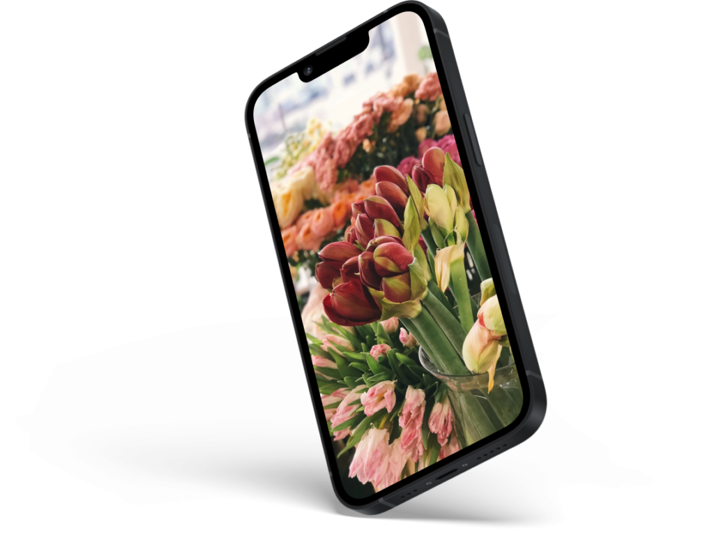 Blomstergrossisten & Växtgrossist | Verbeek & Bol